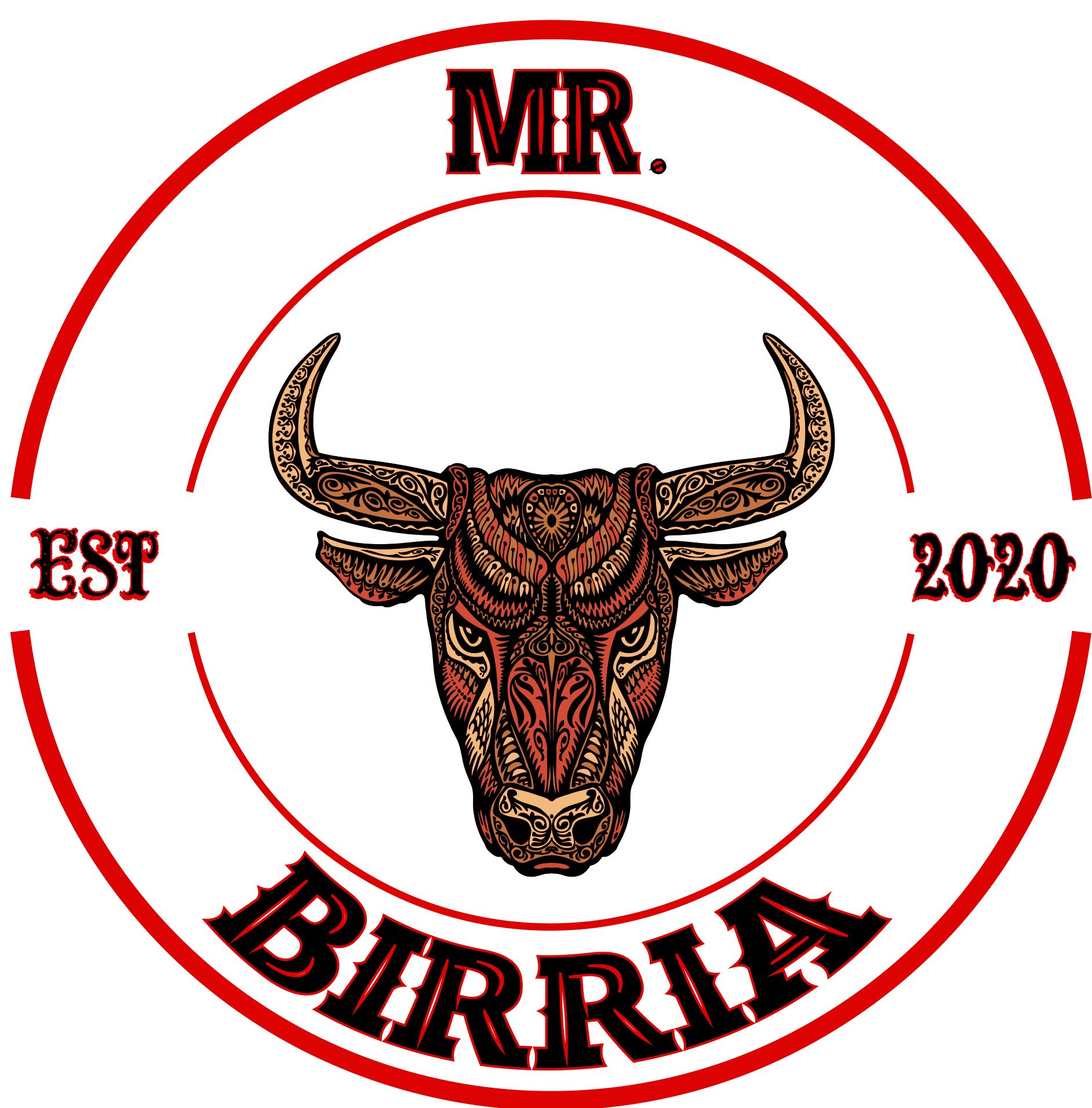 Mr. Birria | Best Authentic Mexican Birria in San Diego