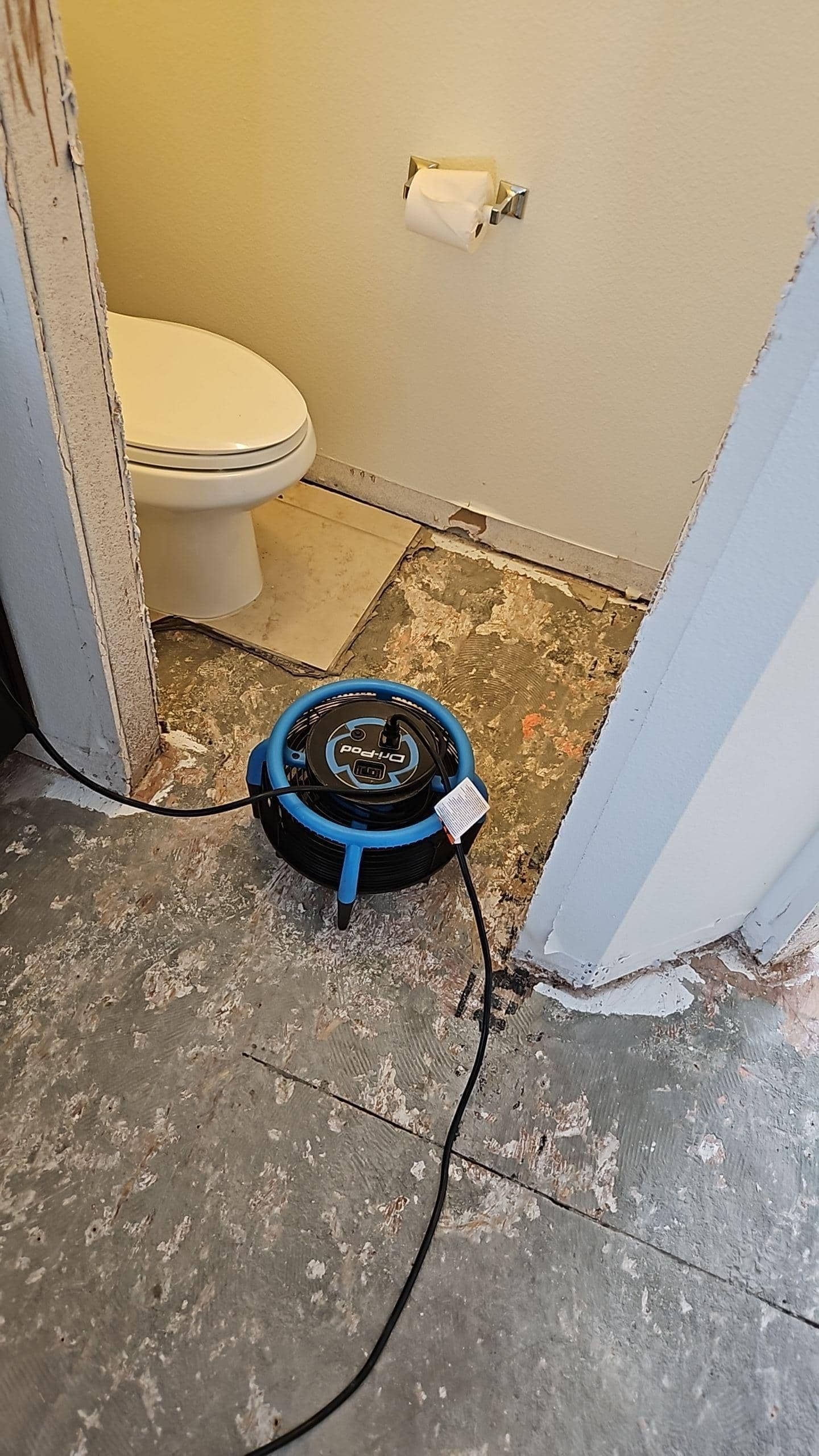 This Toilet Overflow in Austin, Texas Required Complete Water Damage ...