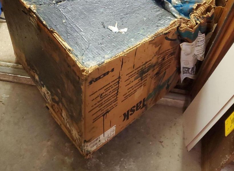 Restoring Soaked Printing Business in Cameron, TX