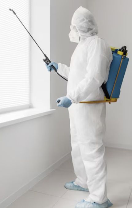 Getting rid of rats one year guarantee rat control