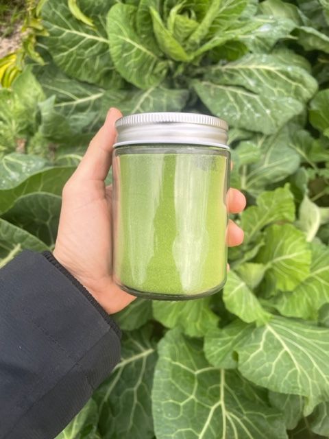 Super Dooper Greens Powder