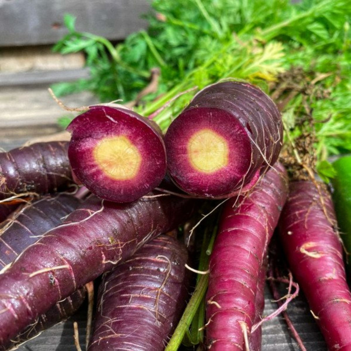 Growing, harvesting and storing root vegetables.