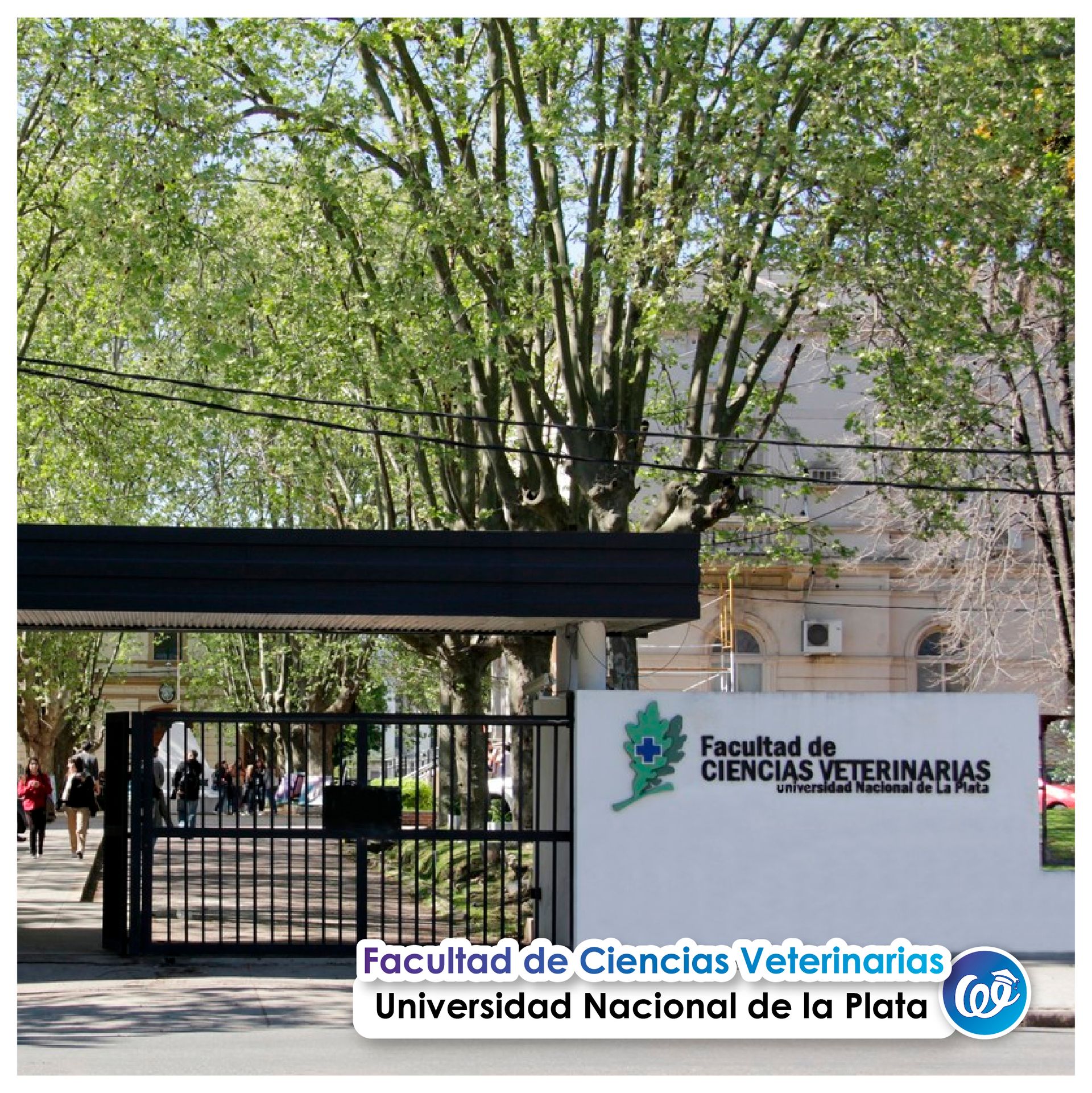 Universidad Nacional de la Plata: Educación de calidad