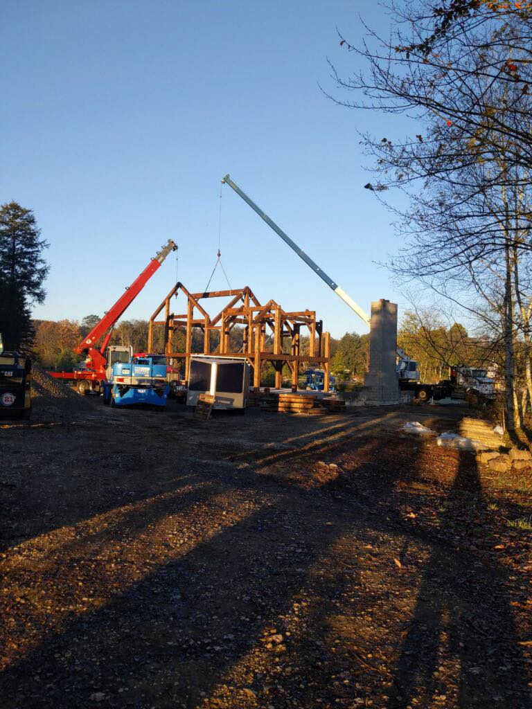 Gallery | Bentley Tree Care LLC. | Tree Services