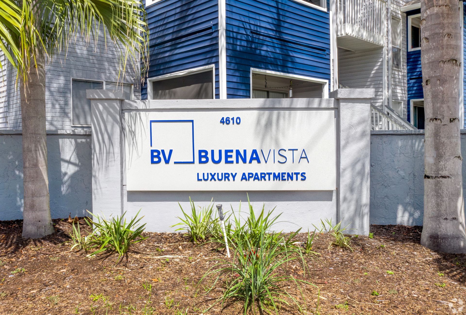 Buena Vista | Infinity BH | Tampa