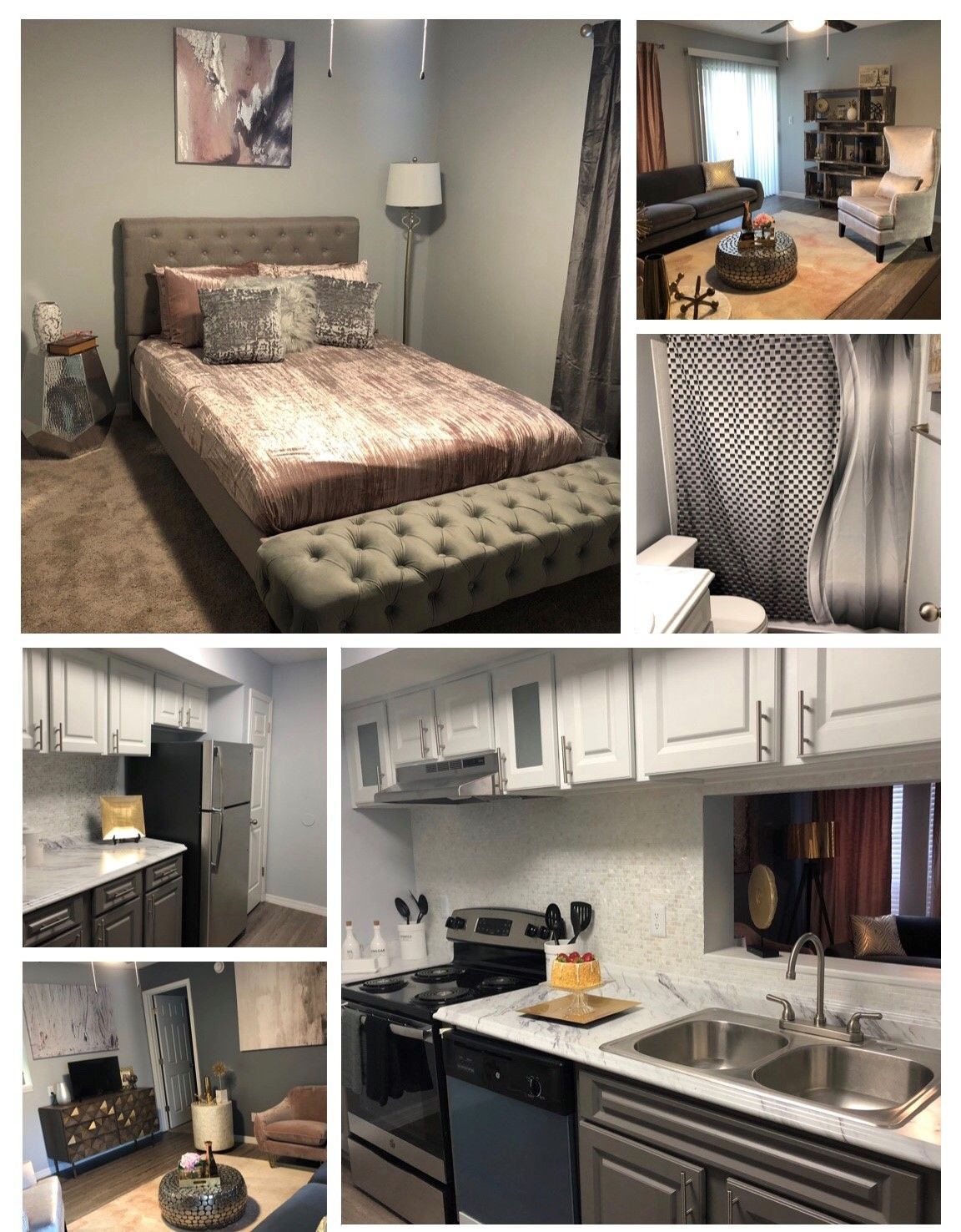 Buena Vista | Infinity BH | Tampa