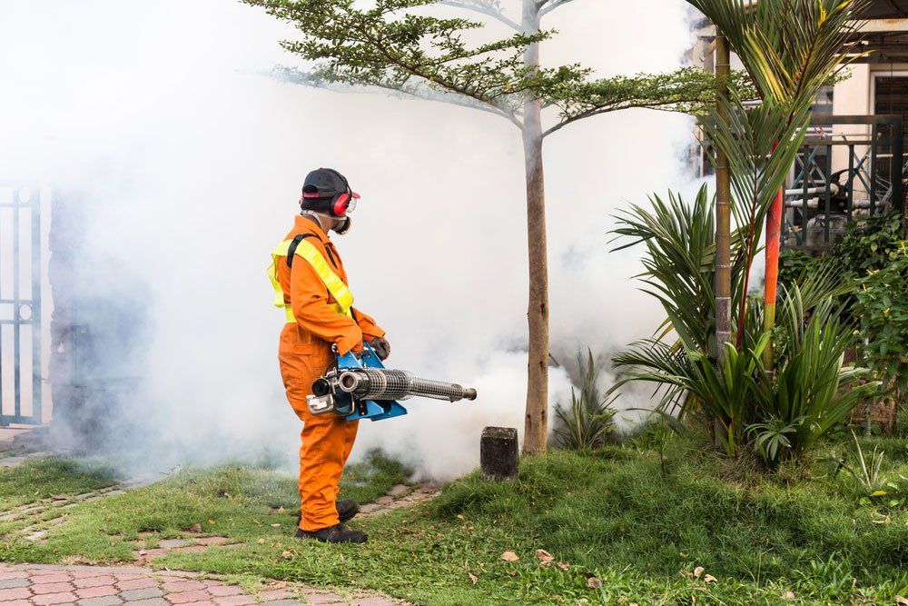 Residential Pest Control in Darwin | Territory Pest Control
