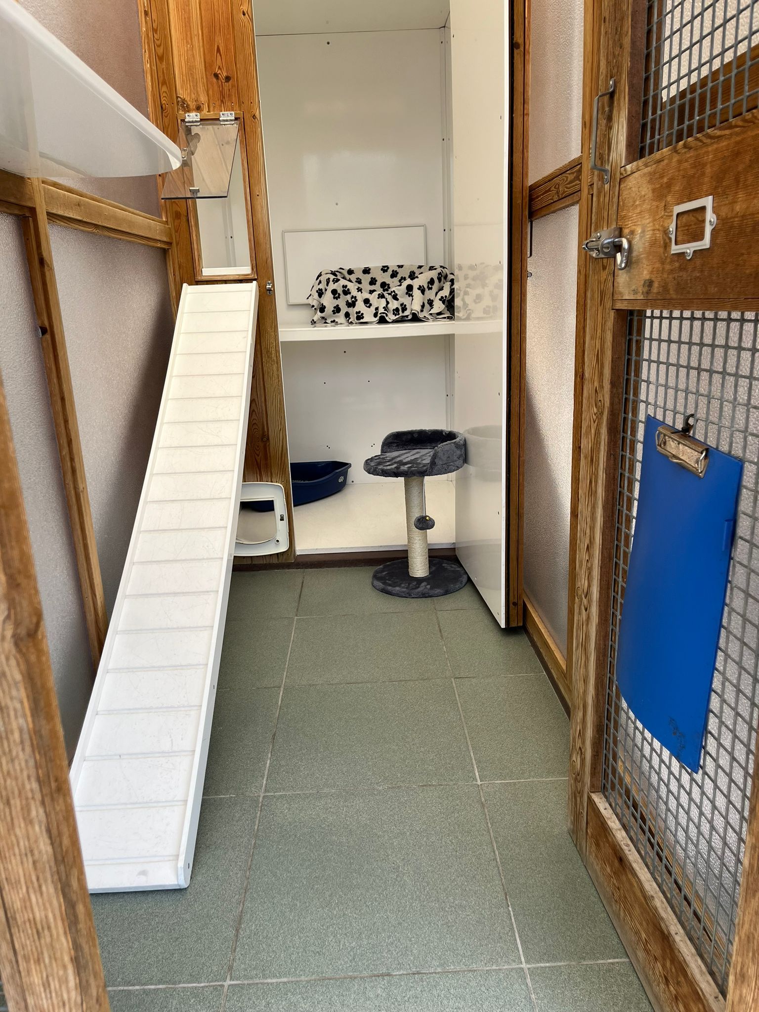 The Cottage Cattery Luxury Cattery in Newtownards