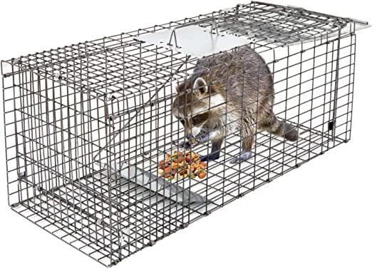 Home [therodentprofessionals.com]