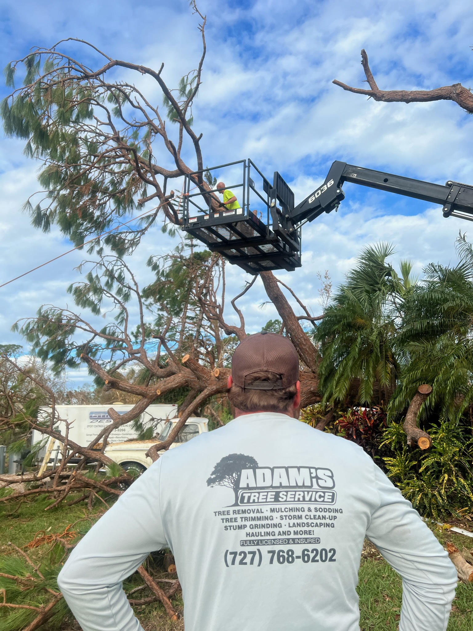 Adam B's Tree Service | Hudson Florida | Stump Grinding | Tree Removal ...