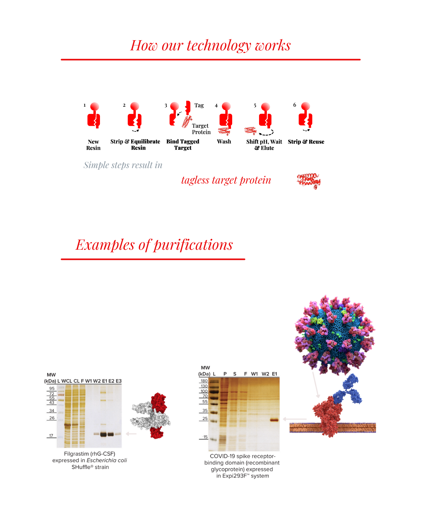 Protein Capture Science