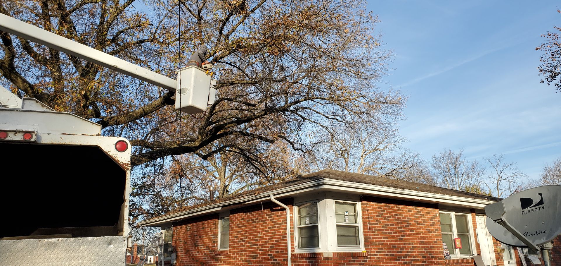 Call Now (573) 999-1747 | Columbia, MO | Thurmond's Lawn & Tree Service