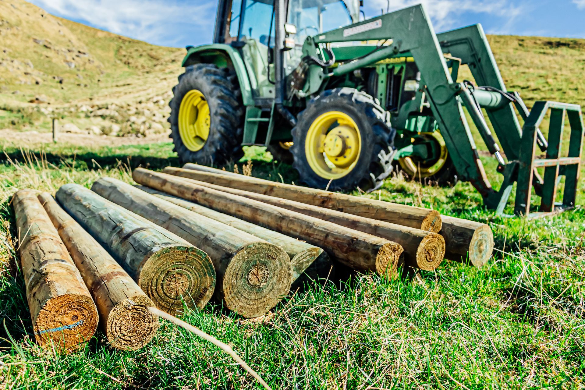 NZ treated pine wooden posts