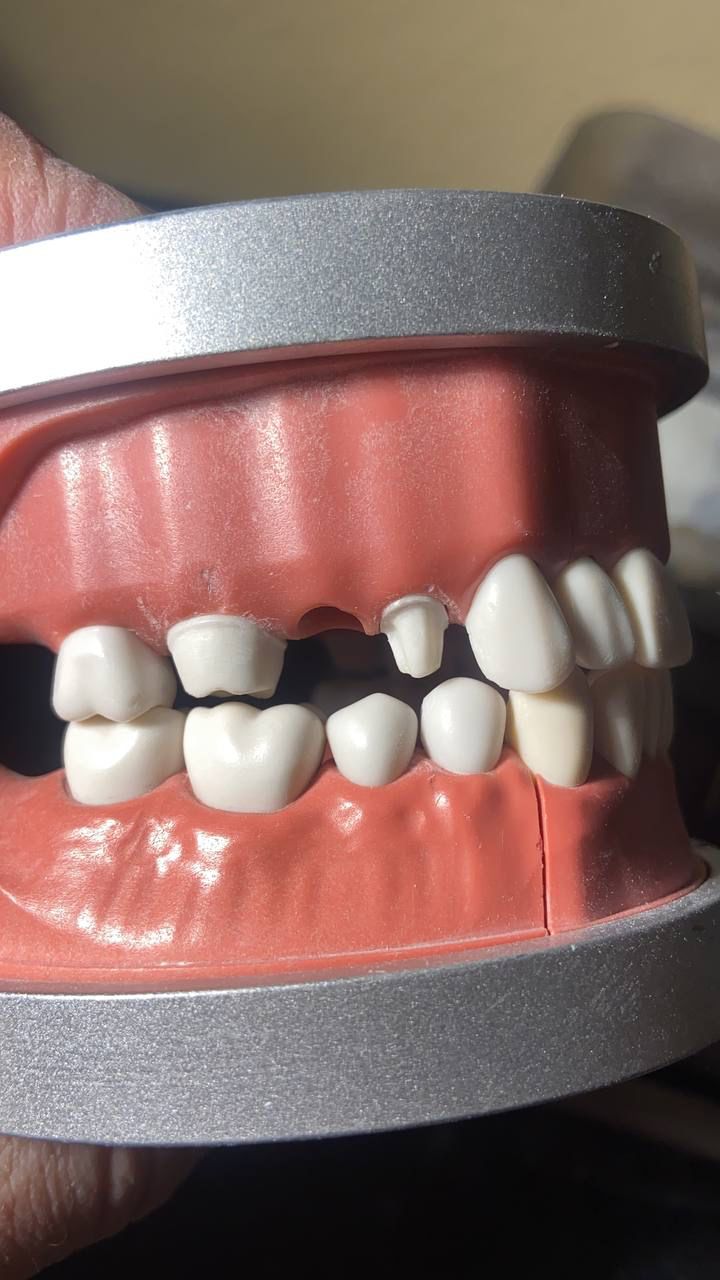 Dental Programs in Casselberry, FL | Dental Training For You