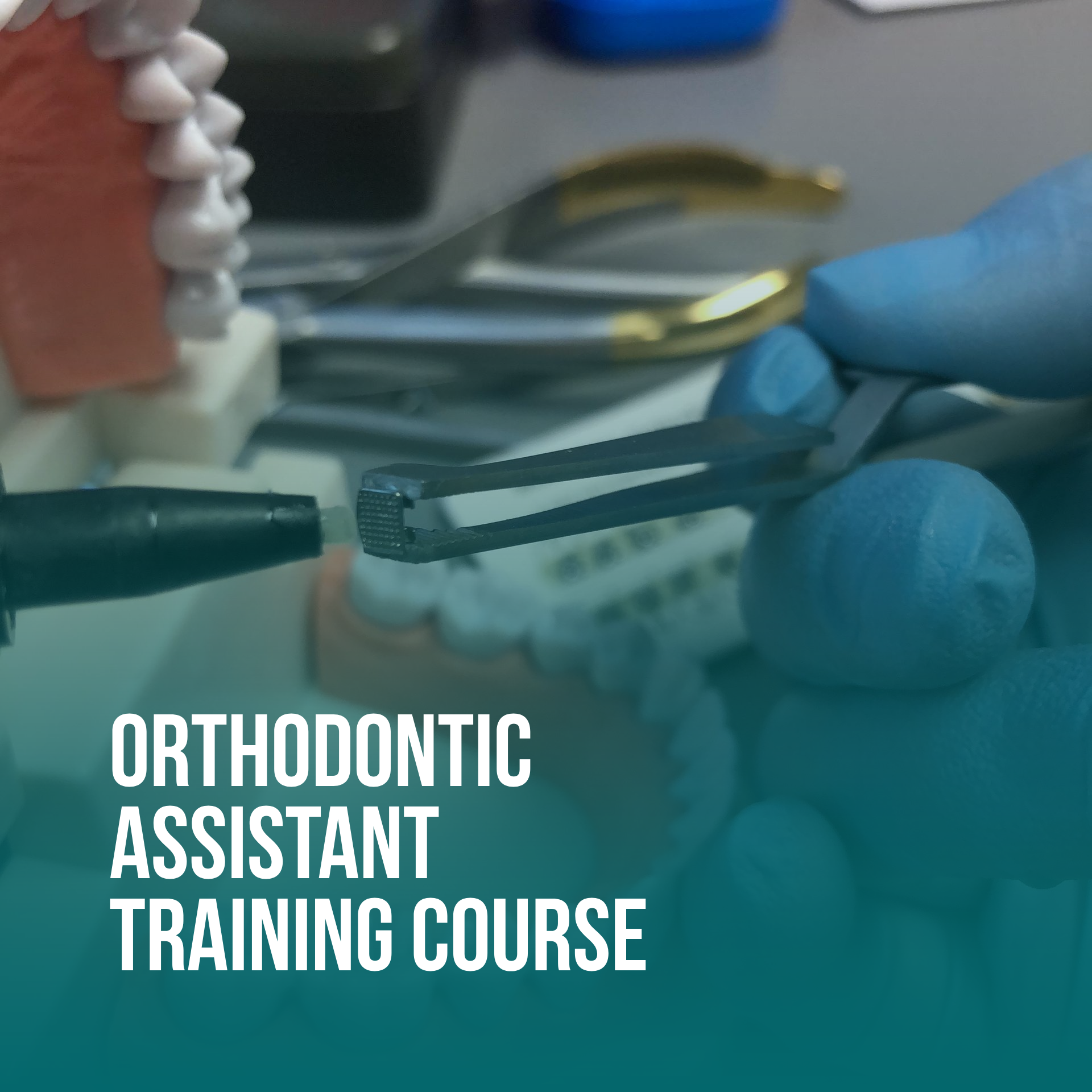 Dental Programs in Casselberry, FL | Dental Training For You