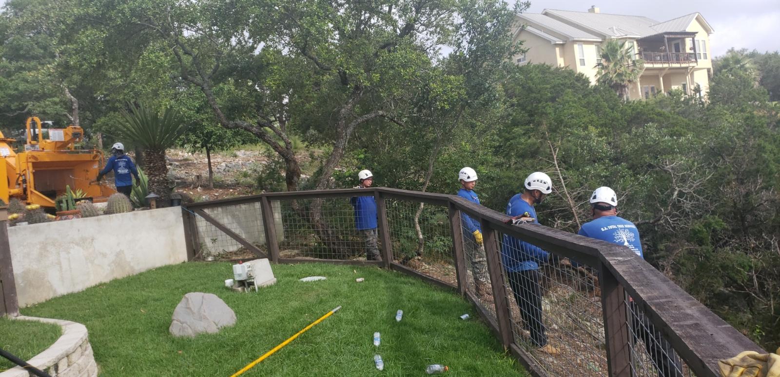 SA Total Tree Service | Tree Service | Tree Removal | Stump Grinding