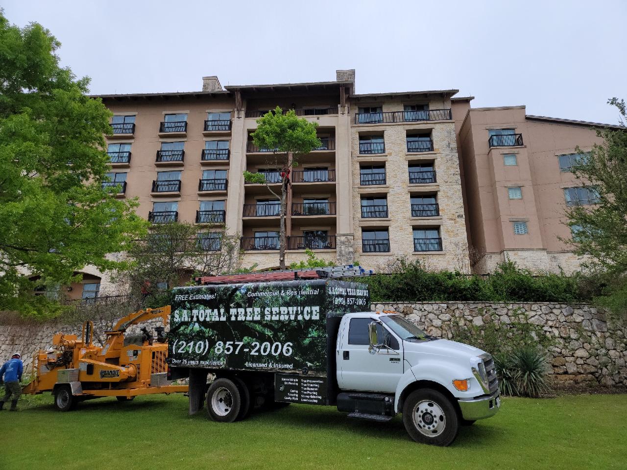 SA Total Tree Service | Tree Service | Tree Removal | Stump Grinding