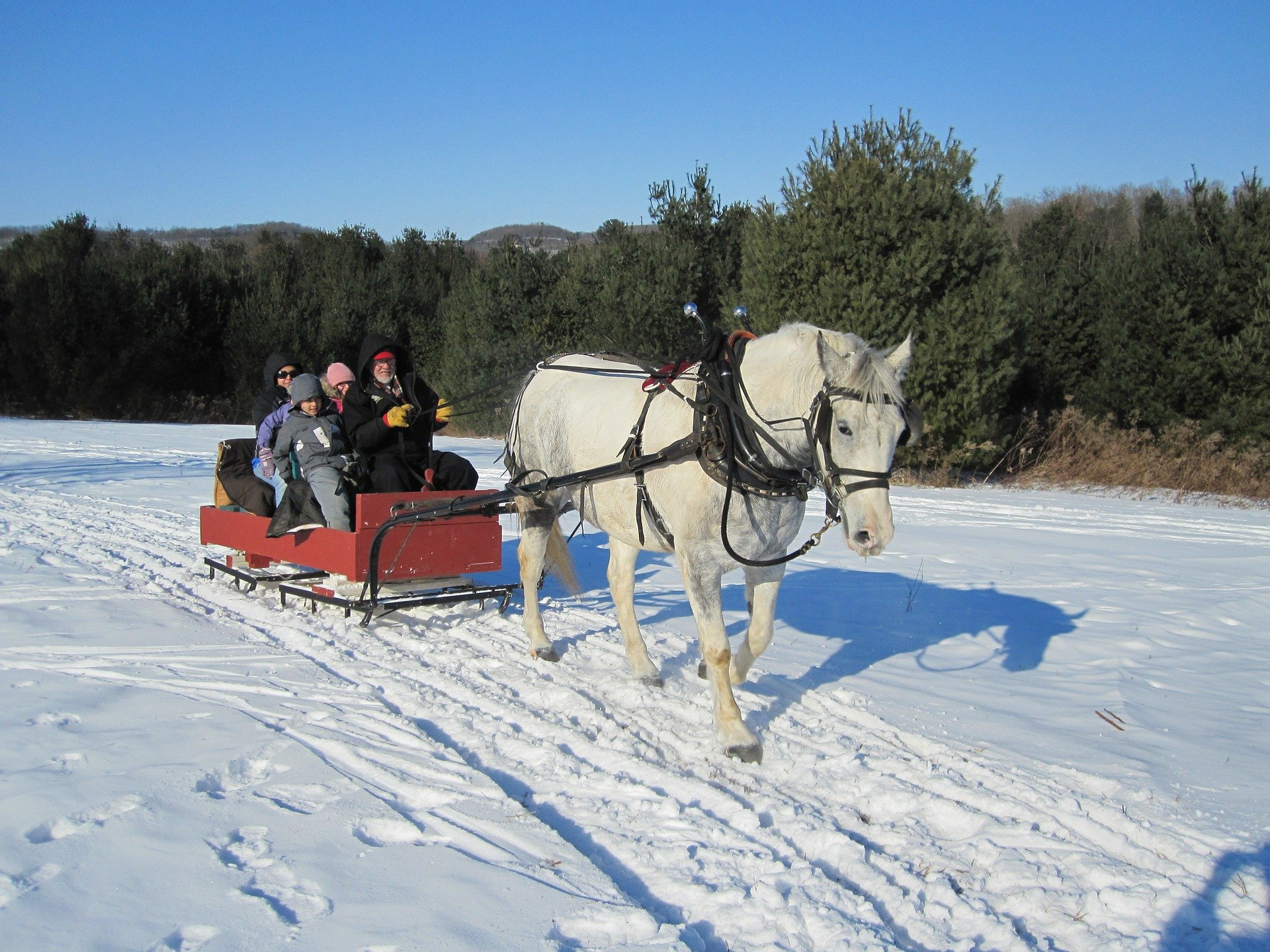 Sleigh ride in the Polish Tatra Mountains | Osada Maruszyna