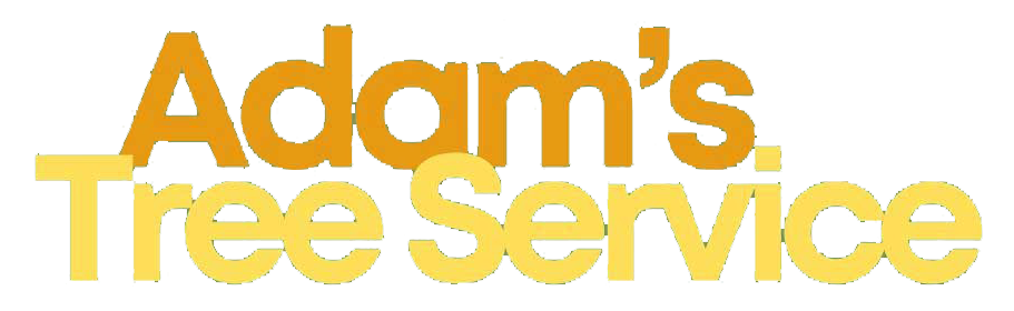 Professional Tree Removal & Care | Adam's Tree | Lehigh County ...