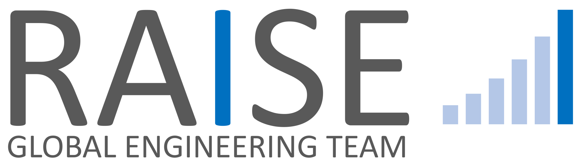 RAISE - Empresa de Consultores de Engenharia