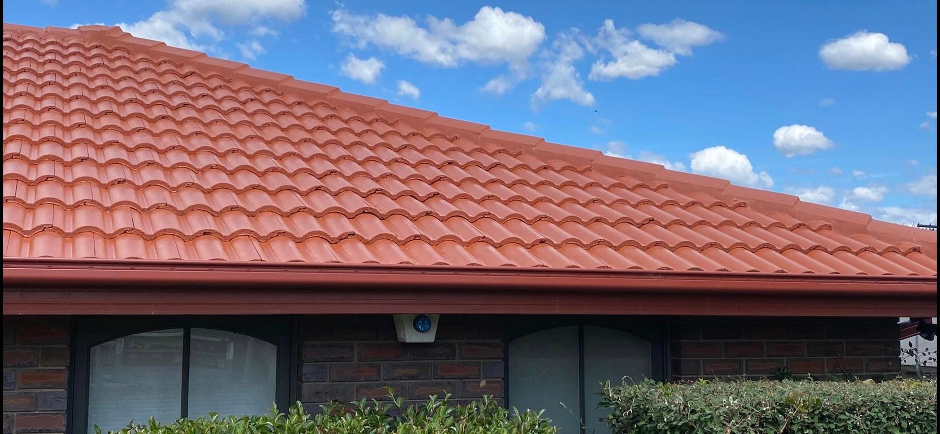 Full Rebed & Repoint