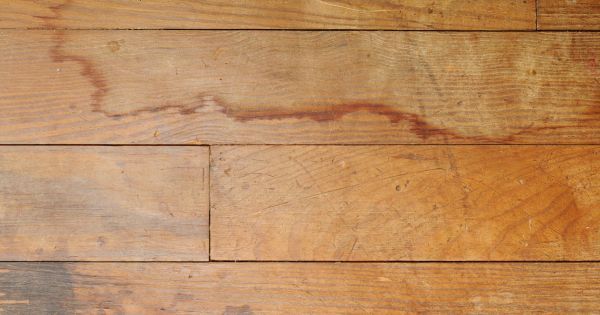6 Signs of Water Damage Under Floor