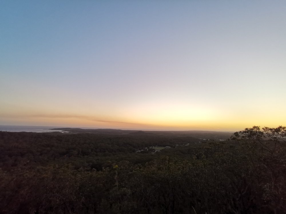 Arbortec Tree Service | Tree Services Dubbo