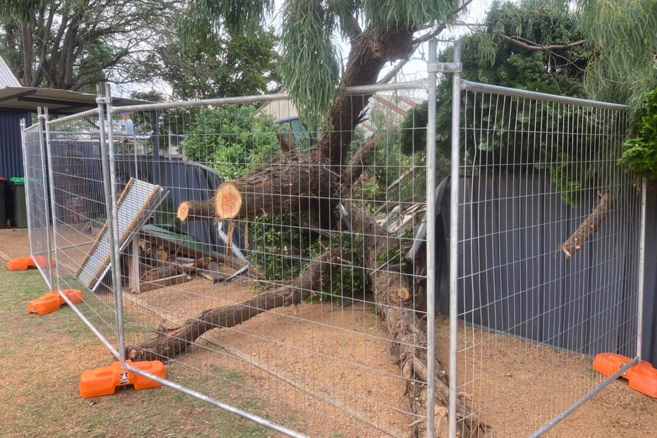 Arbortec Tree Service | Tree Services Dubbo