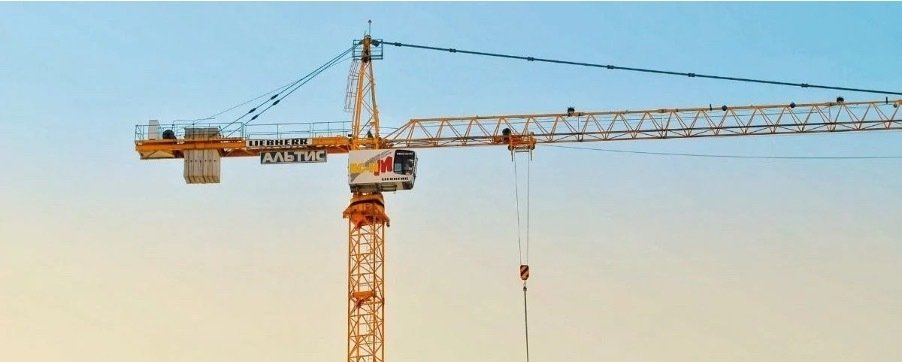 The Future of Cranes, A Development Strategy