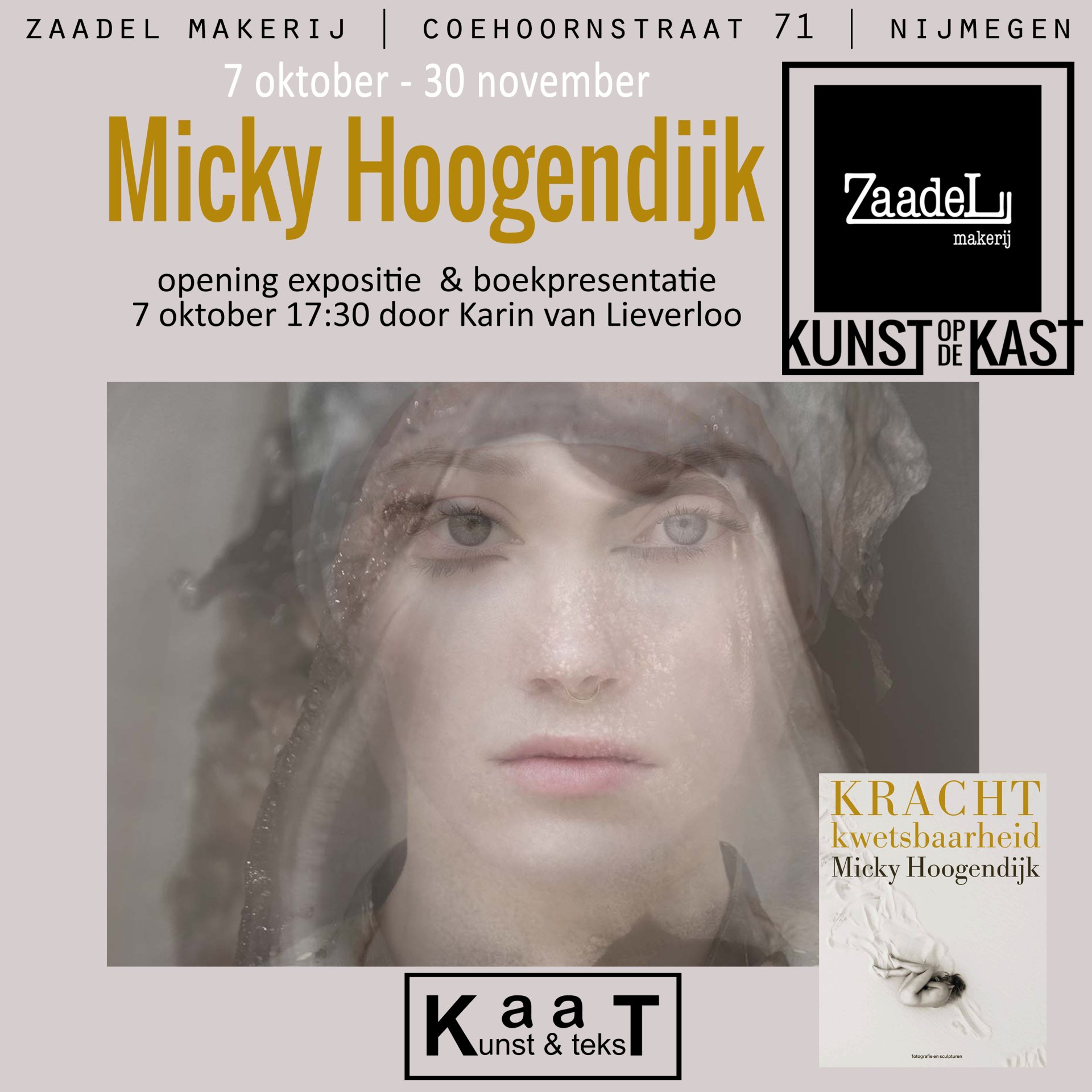 Kunst op de Kast Expositie - Micky Hoogendijk