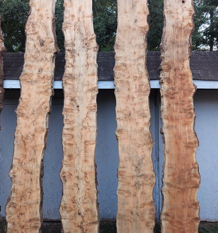 Maple Burl, Spalted & Ambrosia Maple Slabs for Sale | Live Edge & Kiln ...