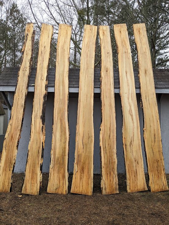 Maple Burl, Spalted & Ambrosia Maple Slabs for Sale | Live Edge & Kiln ...