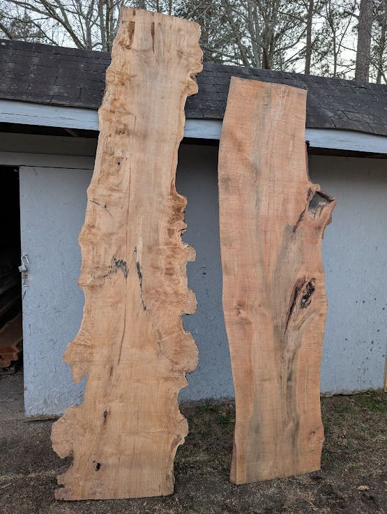 Maple Burl, Spalted & Ambrosia Maple Slabs for Sale | Live Edge & Kiln ...