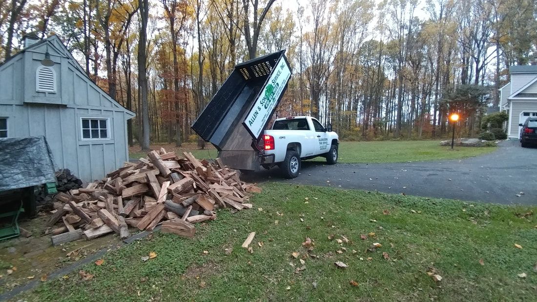 Photo Gallery | Allen & Sons Tree Service | Middle River, MD