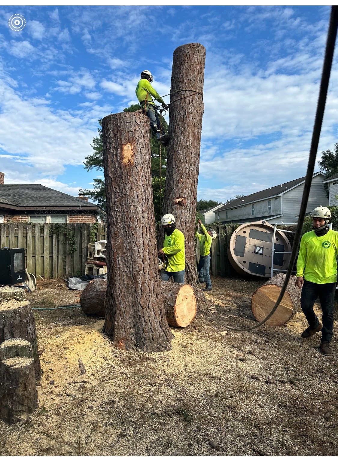 Tree Service | Complete Tree Service | Ravenel, Charleston ...