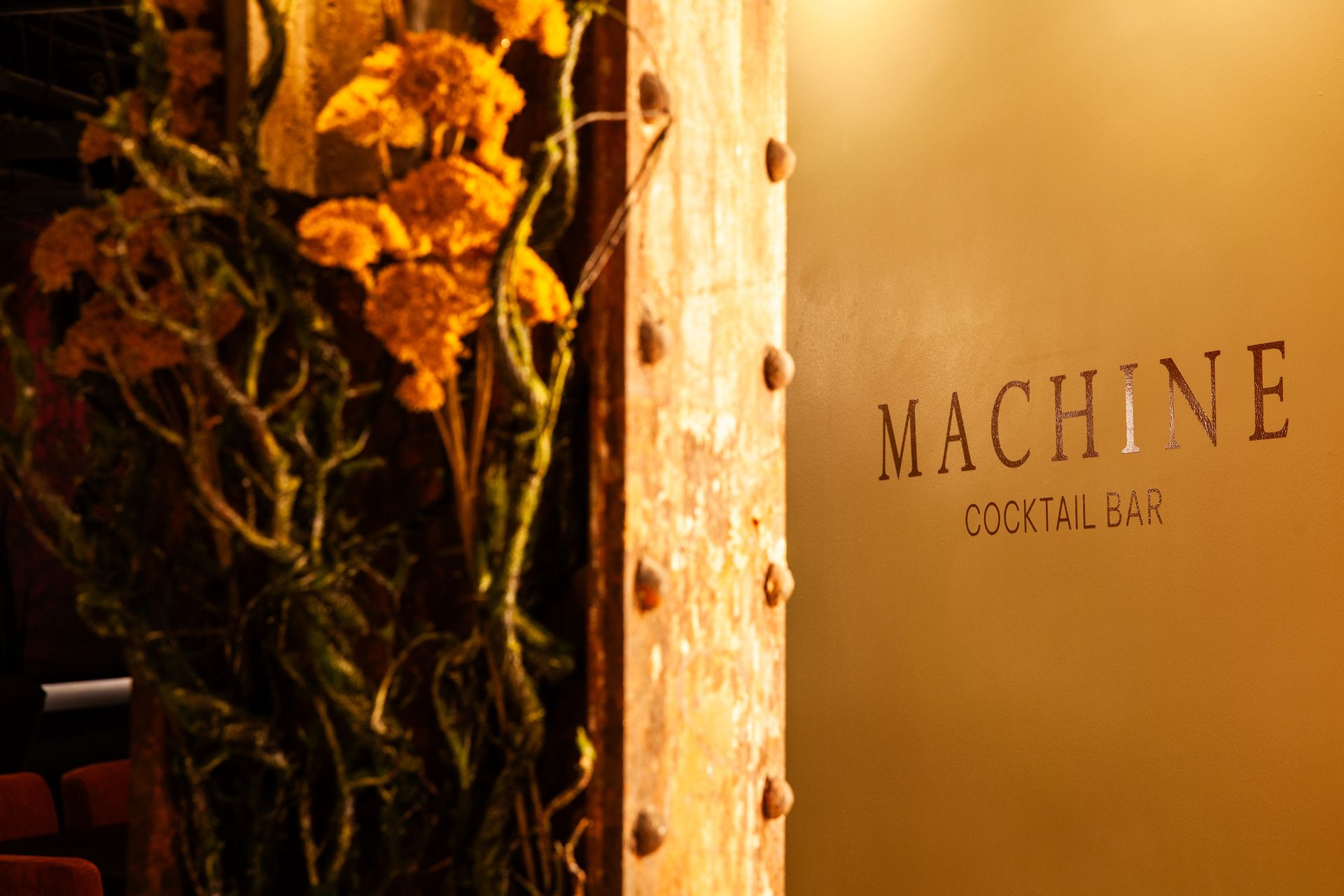 Dinner & Cocktails - Machine