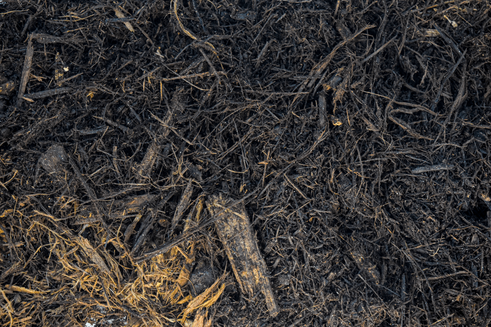 DOUBLE GROUND HARDWOOD