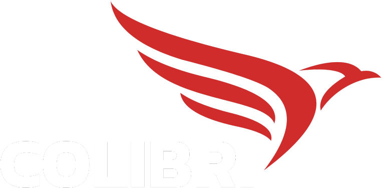 Colibri Resource Commences Drilling at EP Gold Project, Sonora, Mexico