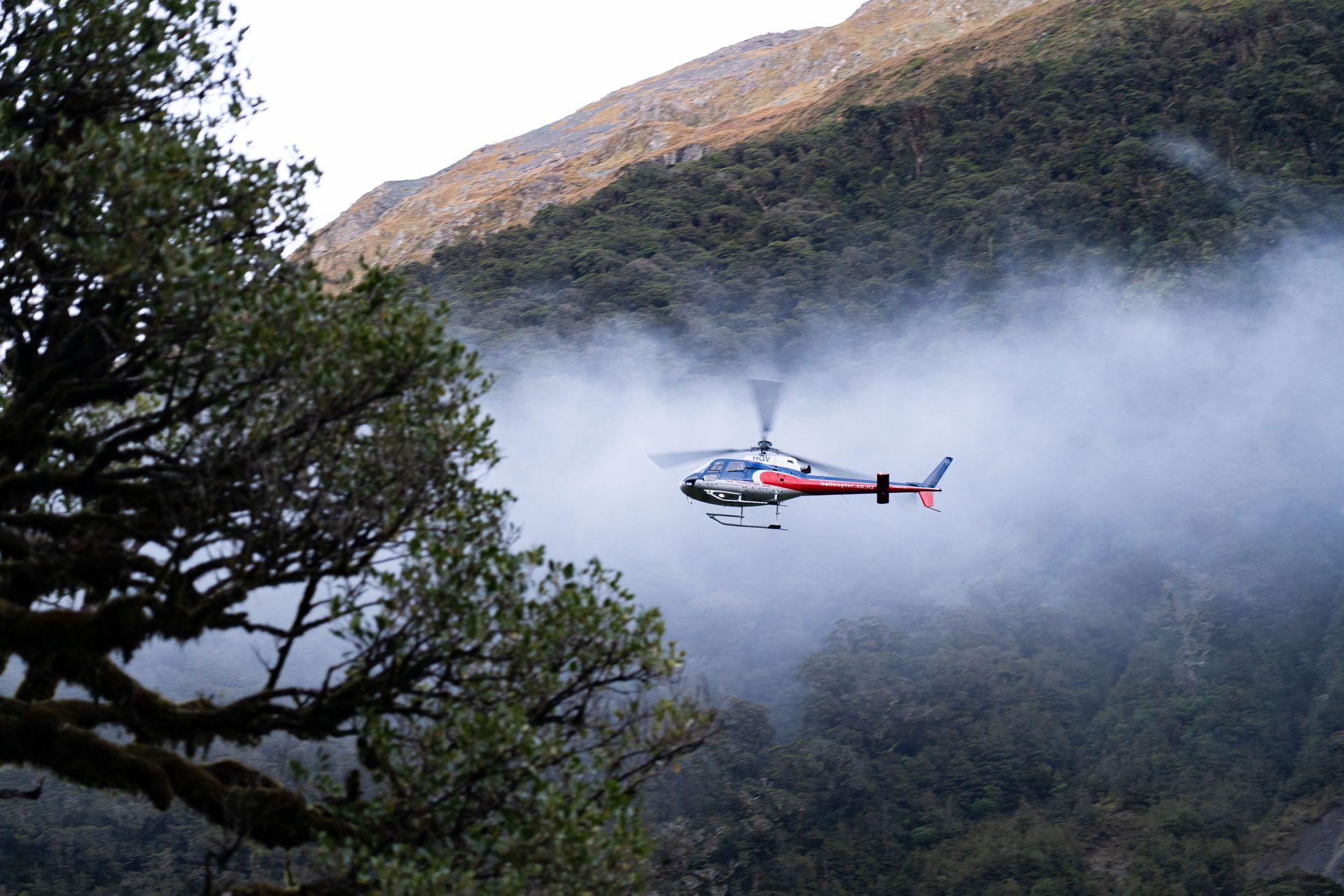 Routeburn Classic - Results