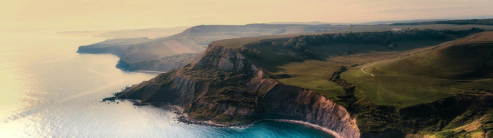 ROSE Report: Chasing the GovCon Gold Rush