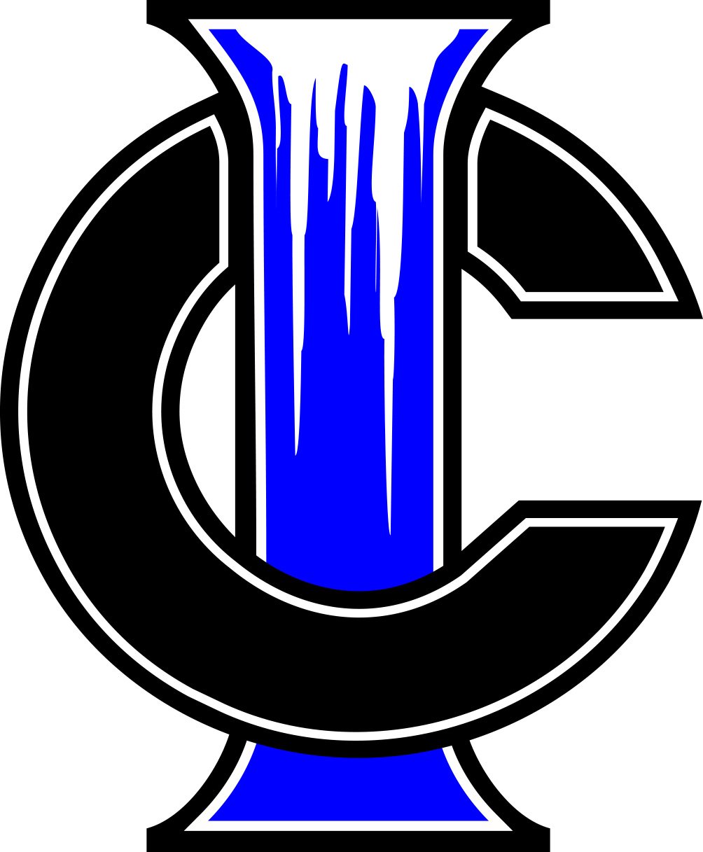 About | Ice Castle Arena | Ice Hockey & Figure Skating