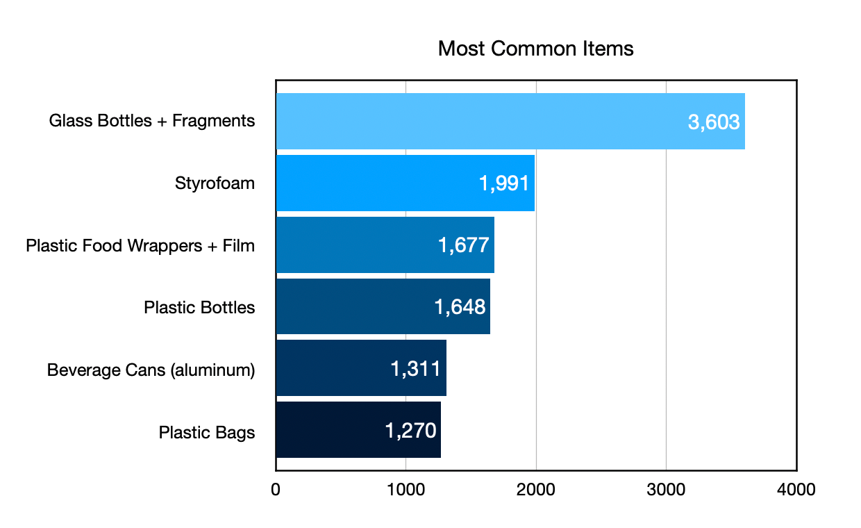 2023 Cleanup Summary