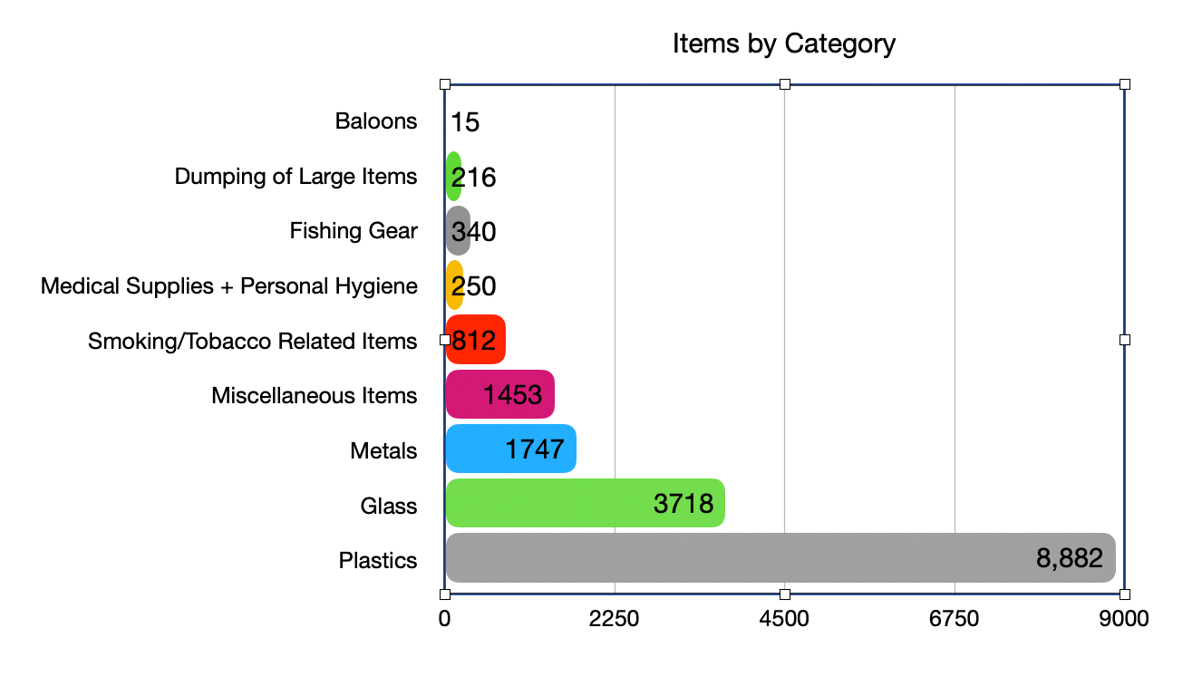 2023 Cleanup Summary