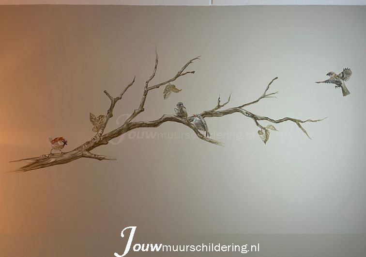 Portfolio muurschilderingen van jouwmuurschilderingen