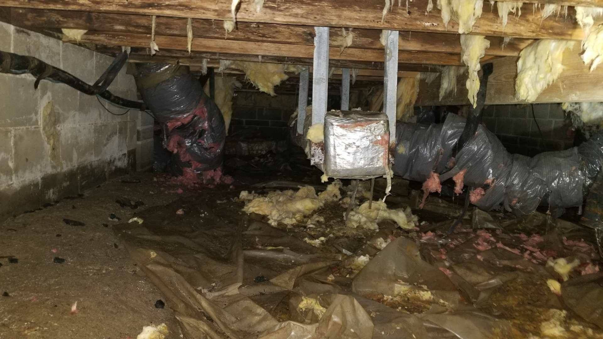 Crawl Space Cleaning Services in Chesapeake, VA | Hawk Crawlspace ...