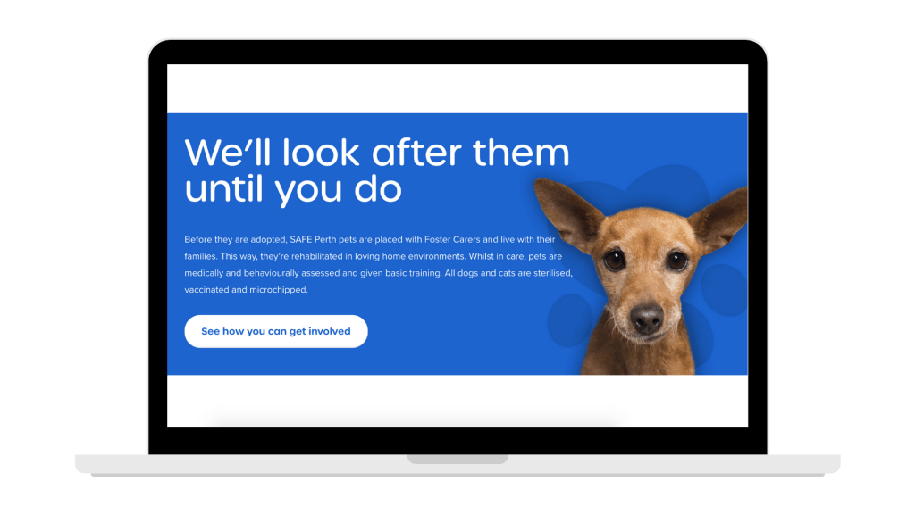 Client of the Month — SAFE Perth