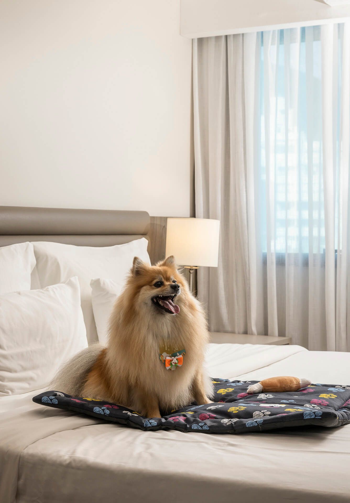 Blue Tree Premium Florianópolis Hotel - Hotel em Florianópolis, Santa ...