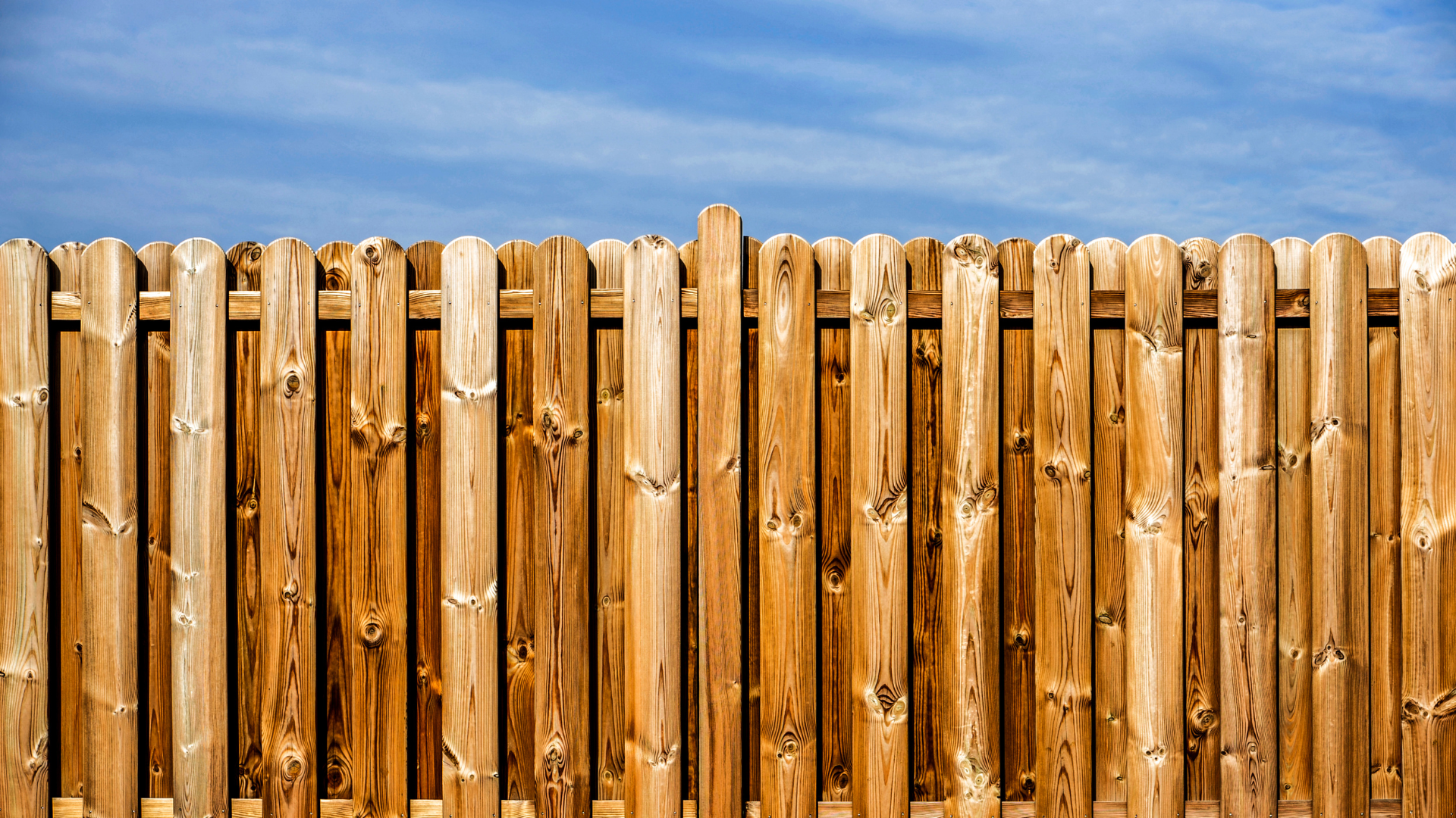Fencing Services | United States | The Fencing Specialist