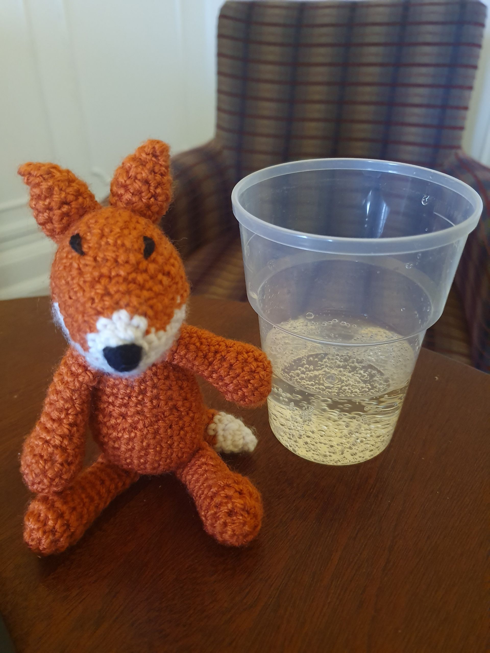 Day 43 - Foxlease Park's first New Year's Day and some resolutions for ...