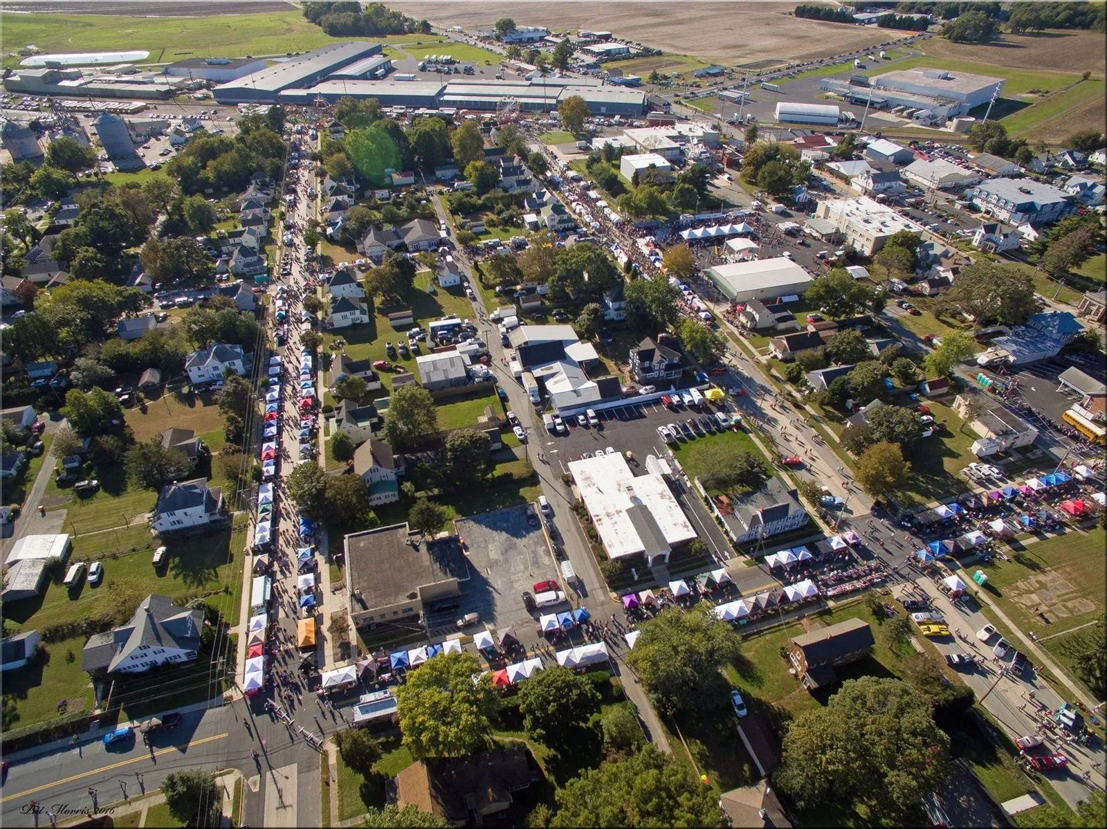 Apple Scrapple Festival | Rapa Scrapple | Bridgeville, DE